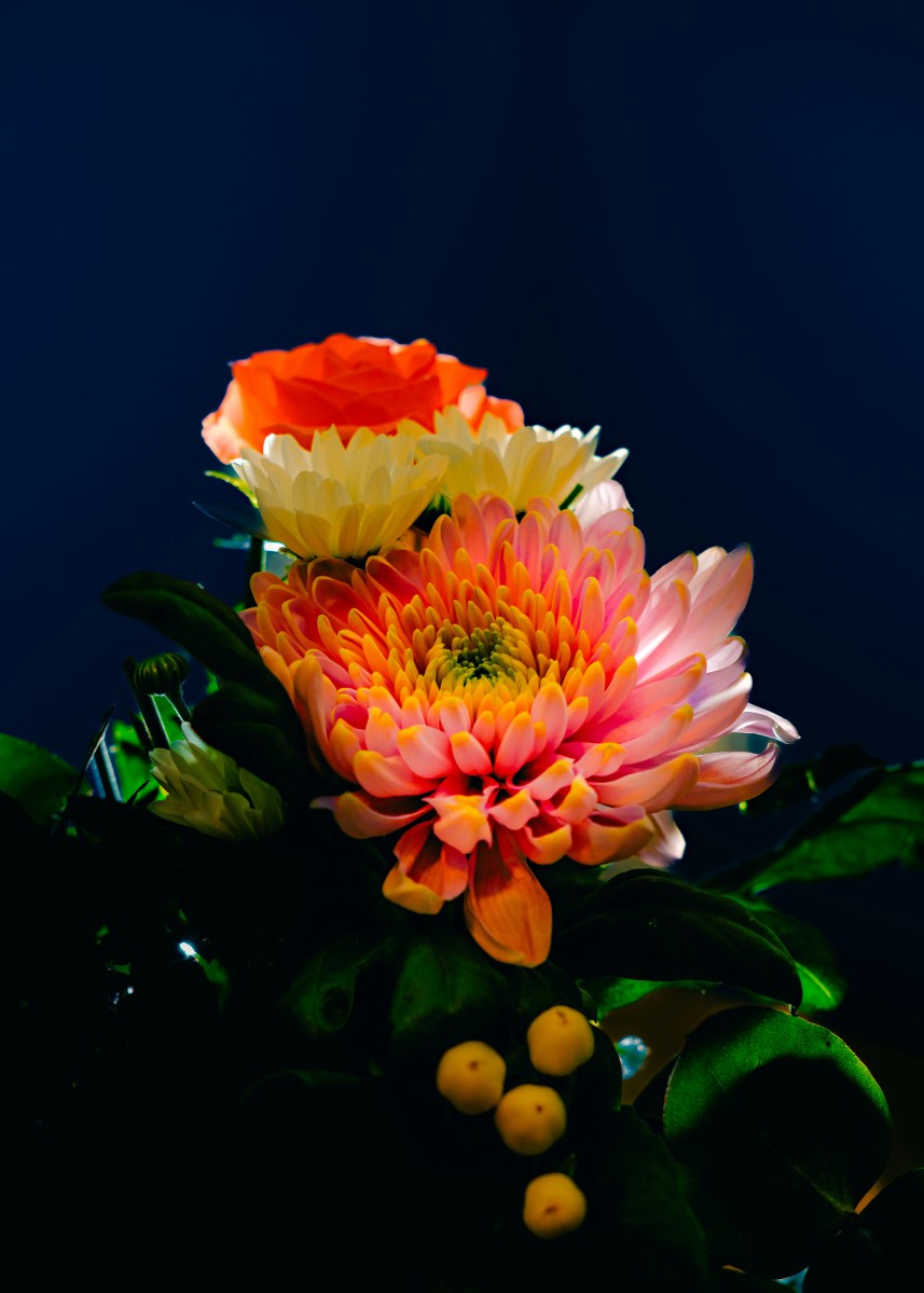 The Sacred Flame of Roses – Healing Majestically